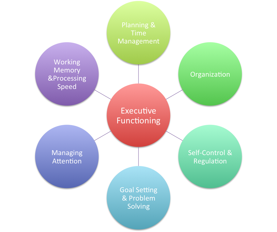 What is Executive Functioning? – Customized Learning Solutions